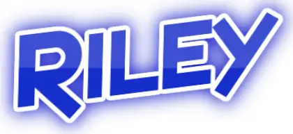 Riley Ramps KICK'R Portable Bike Ramps Instructions